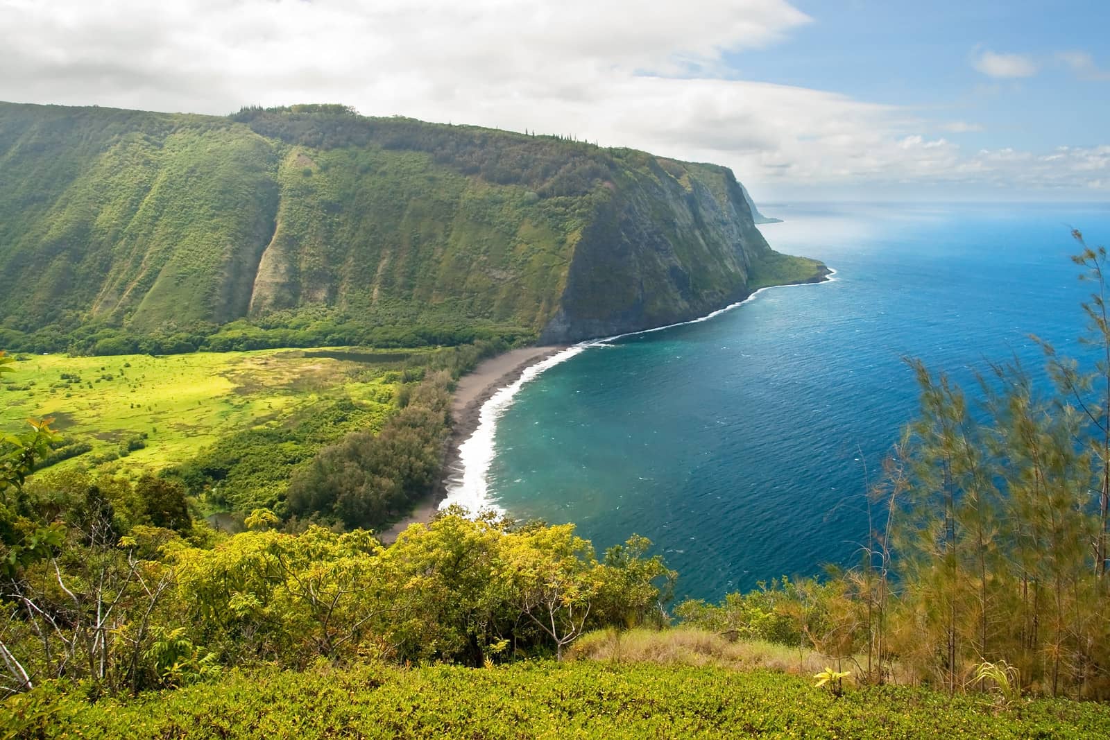 Pearl Harbor Tours From Big Island | Hilo & Kona Trips To Oahu
